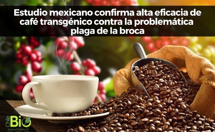 AgroAvances | Noticias