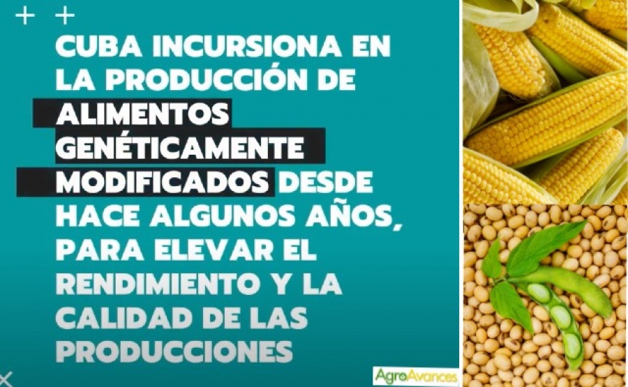 AgroAvances | Noticias