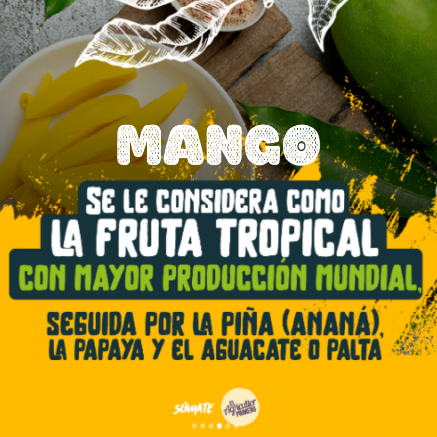 Corazon Fruta Tropical