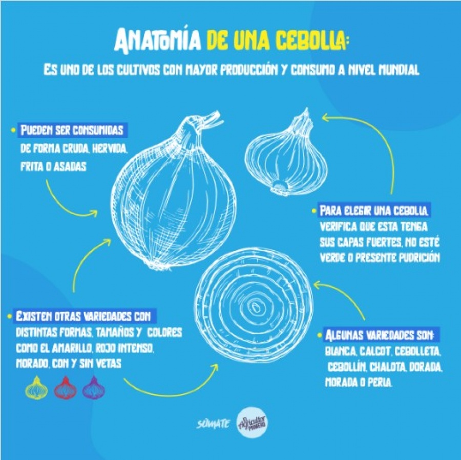 AgroAvances | Noticias