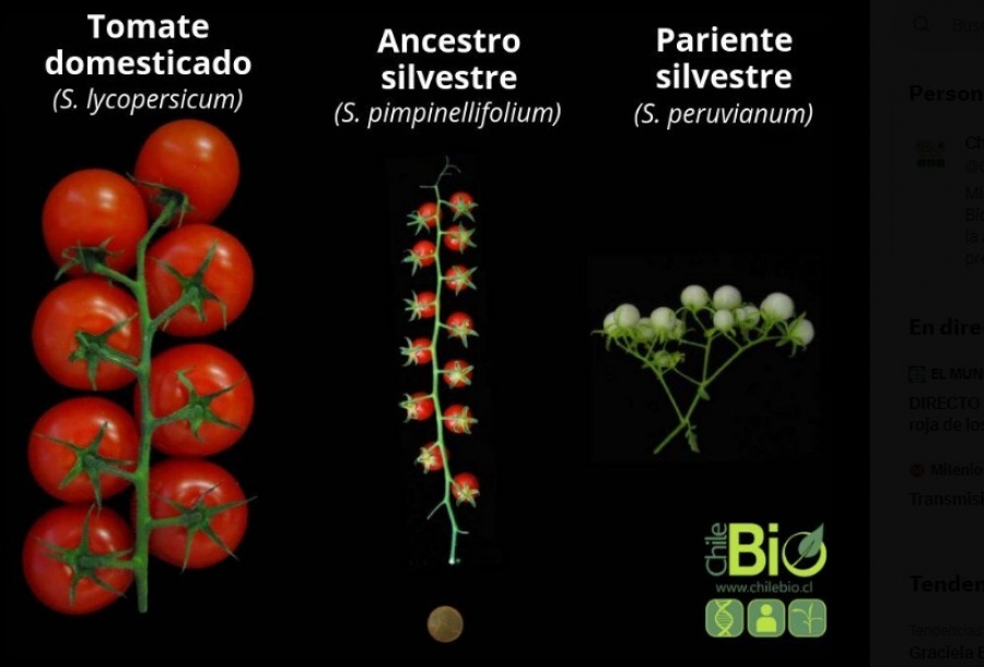 AgroAvances | Noticias